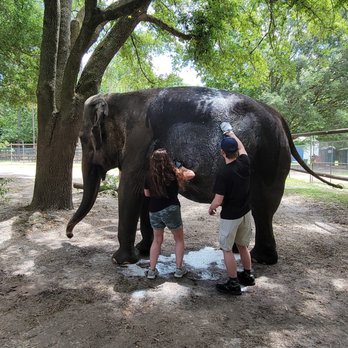 TWO TAILS RANCH - Updated December 2025 - 125 Photos & 94 Reviews ...