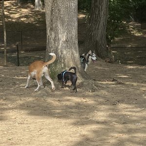 MECKLENBURG COUNTY WILLIAM R DAVIE PARK - Updated September 2025 - 62 ...