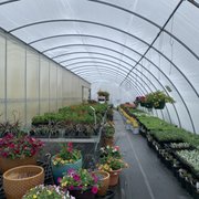 RIGHTWAY GARDEN CENTER - 28 Photos - Landscaping - 5529 N Bend Rd ...