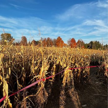 PINGLE’S FARM MARKET - Updated December 2025 - 104 Photos & 22 Reviews ...