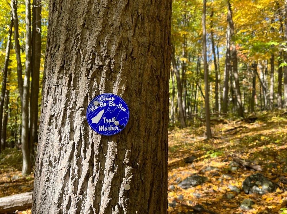 CAMP NOBEBOSCO - Updated December 2025 - 18 Photos - 11 Sand Pond Rd ...