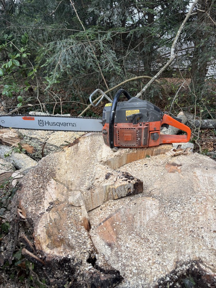 JORDAN’S FIREWOOD AND TREE SERVICE - Updated February 2025 - Waynesville, North Carolina - Tree ...
