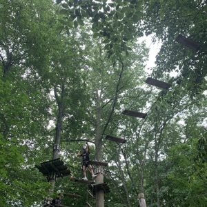 THE ADVENTURE PARK AT THE DISCOVERY MUSEUM - 58 Photos & 66 Reviews ...