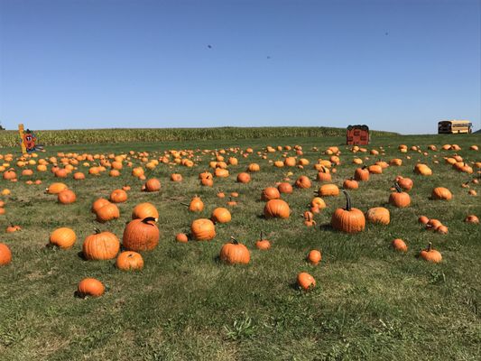 ROHRBACH’S FARM MARKET - Updated October 2025 - 22 Photos & 13 Reviews ...