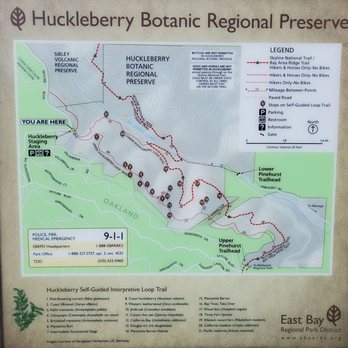 HUCKLEBERRY BOTANIC REGIONAL PRESERVE - Updated December 2025 - 549 ...