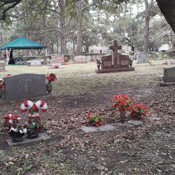 GALVESTON MEMORIAL PARK CEMETERY - 17 Photos - 7301 Memorial St ...