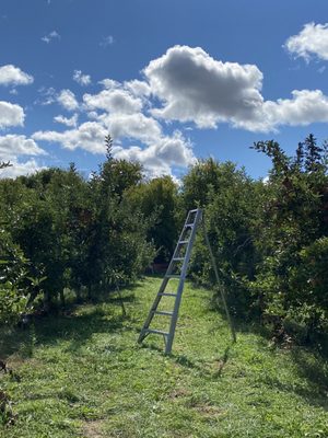 THE BIG’R APPLE FARM - Updated December 2025 - 13 Photos - 8674 ...