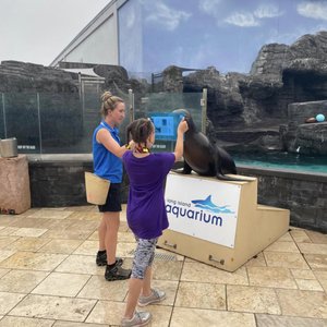 LONG ISLAND AQUARIUM - 1075 Photos & 296 Reviews - 431 E Main St, Riverhead, New York ...