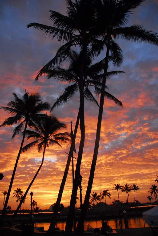 LEIGREETING - Updated February 2025 - 90 Photos & 168 Reviews - 3375 ...