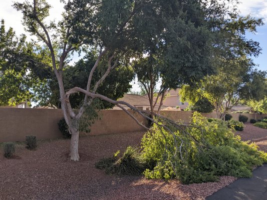 MOON VALLEY NURSERIES - Updated December 2025 - 105 Photos & 85 Reviews ...