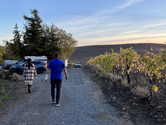 AZARI WINERY AND VINEYARDS - Updated October 2025 - 70 Photos & 76 ...