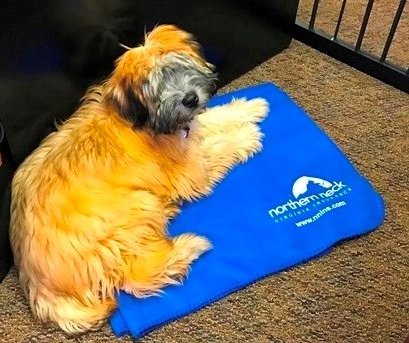 NORTHERN NECK INSURANCE - Updated December 2025 - 16 Photos & 25 ...