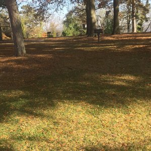 ALMS PARK - 132 Photos & 32 Reviews - Parks - 710 Tusculum Ave ...