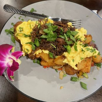 IBIS CUISINE - Updated January 2025 - 69 Photos & 17 Reviews - 928 ...