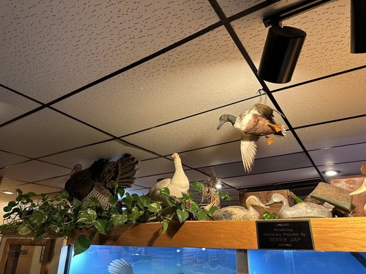 TASTE OF TEXAS BBQ- MCCOOK - Updated August 2025 - 26 Reviews - 112 W ...