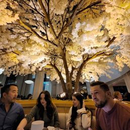 JANKEN - Updated September 2025 - 1462 Photos & 432 Reviews - 250 NW ...