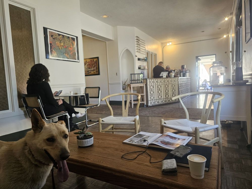 TALEGA COFFEE - 24 Photos & 26 Reviews - 236 South Scott Ave, Tucson ...