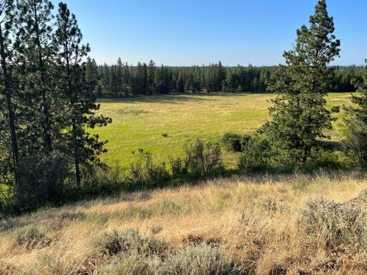 JAMES T SLAVIN CONSERVATION AREA - Updated December 2025 - Spokane ...