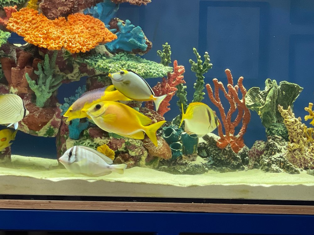 ED’S AUTOMOTIVE CENTER & AUTO REPAIR - Updated August 2025 - 18 Photos ...