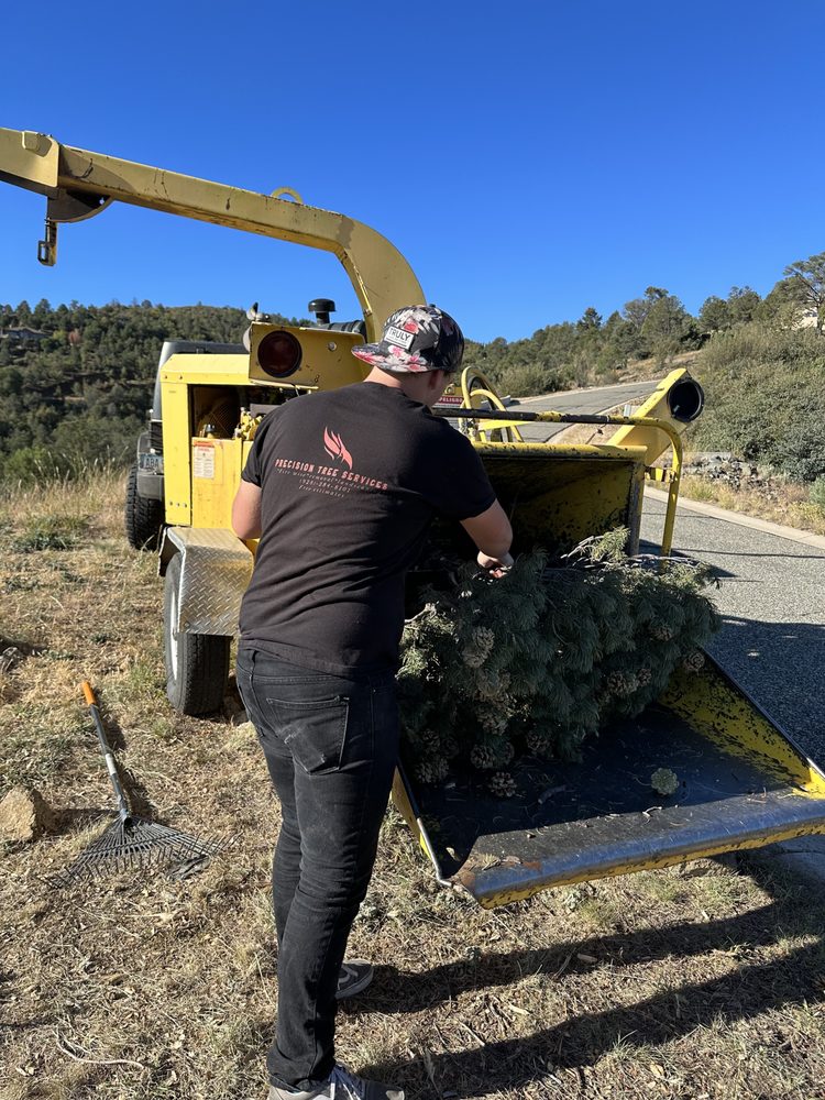 PRECISION TREE SERVICES - Updated July 2025 - Request a Quote - 11 ...