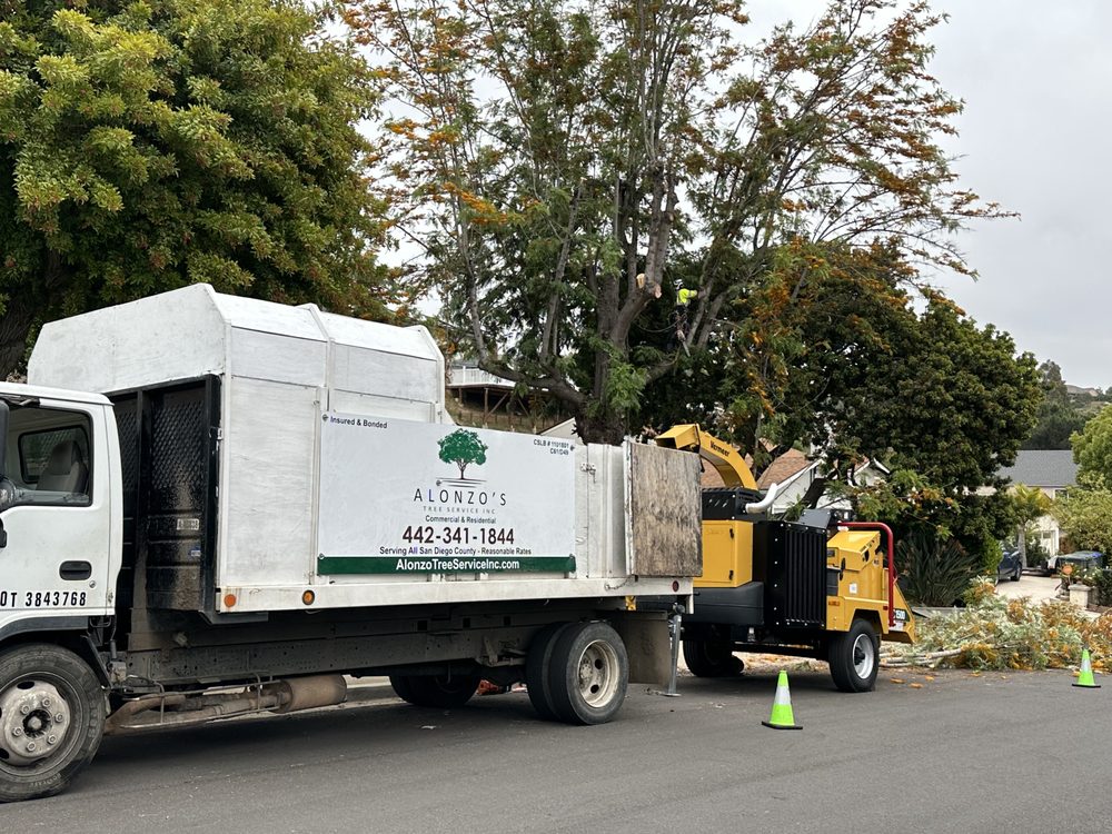 ALONZO’S TREE SERVICE - Updated May 2025 - 66 Photos & 21 Reviews ...