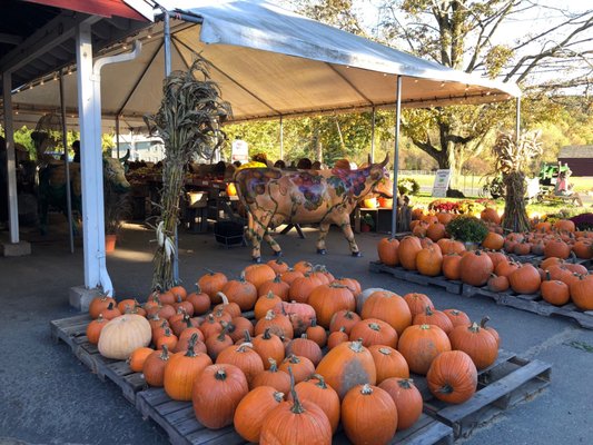 ROSEDALE FARM AND VINEYARD - 147 Photos & 60 Reviews - Wineries - 25 E ...