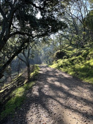 DIABLO FOOTHILLS REGIONAL PARK - Updated March 2026 - 244 Photos & 45 ...