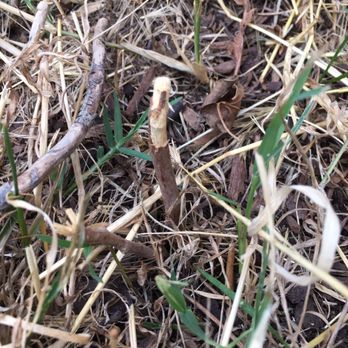 SAIZ LANDSCAPING - Updated December 2025 - 10 Reviews - 13525 Swaps St ...