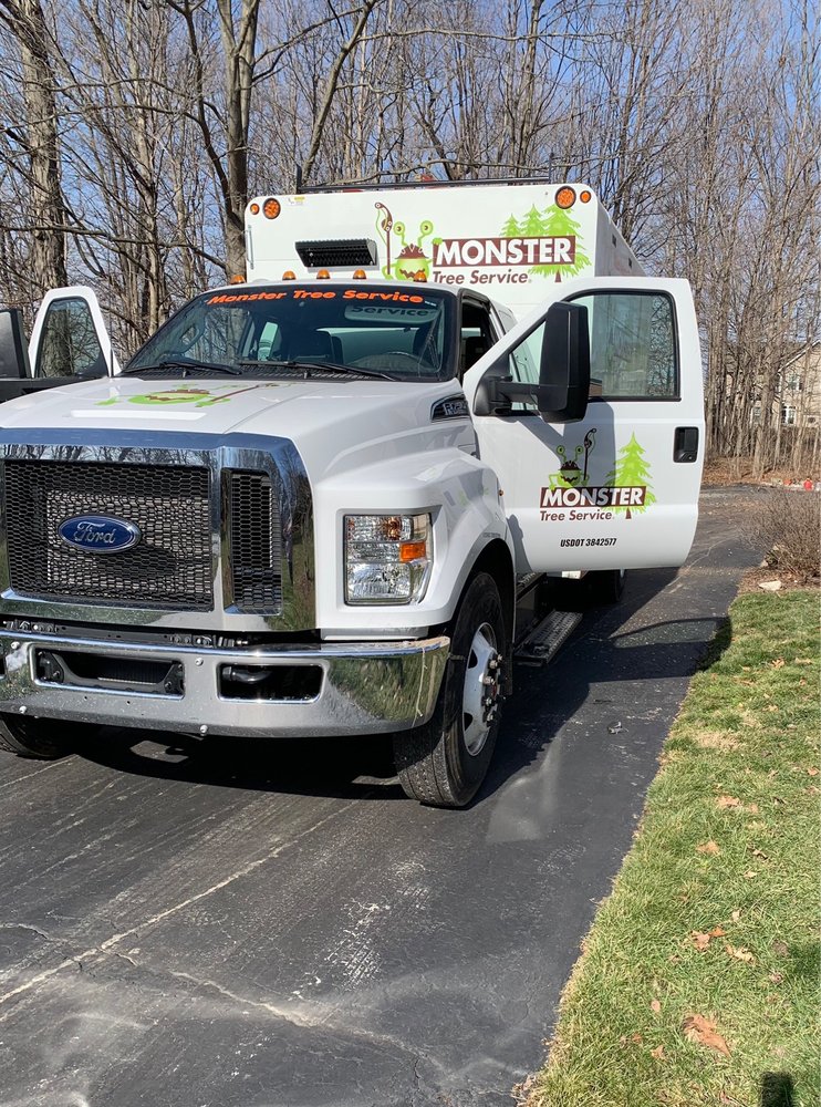 MONSTER TREE SERVICE OF SOUTH INDIANAPOLIS - Updated October 2025 - 500 ...
