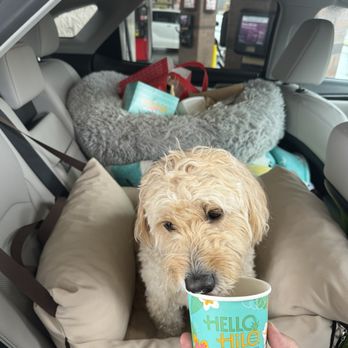 HELLO HILO - Updated March 2025 - 345 Photos & 202 Reviews - 1881 Jesse ...