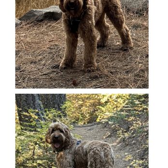 REBER RANCH - Updated December 2025 - 134 Photos & 227 Reviews - 28606 ...