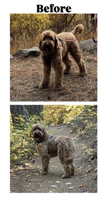 REBER RANCH - Updated October 2025 - 134 Photos & 226 Reviews - 28606 ...