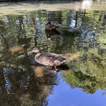 BONNEVILLE DAM FISH HATCHERY - Updated May 2025 - 489 Photos & 117 ...