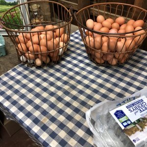 HALLOCK’S U-PICK FARM & GREENHOUSE - Updated June 2025 - 44 Photos & 15 ...