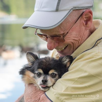 OLD DOG HAVEN - Updated October 2025 - 20 Photos & 36 Reviews - Oak ...