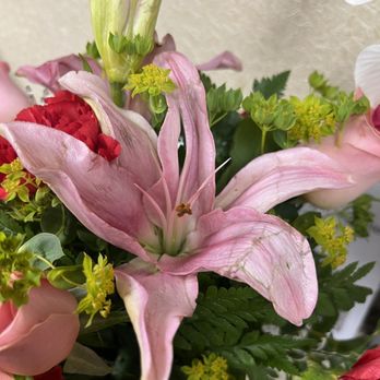 SOUTH-EAST FLOWERS - Updated January 2026 - 158 Photos & 56 Reviews ...