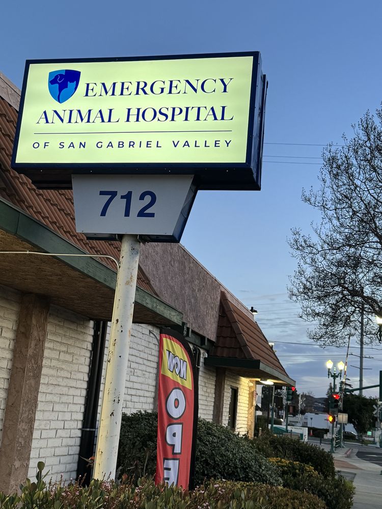 EMERGENCY ANIMAL HOSPITAL OF SAN GABRIEL VALLEY - Updated July 2025 ...