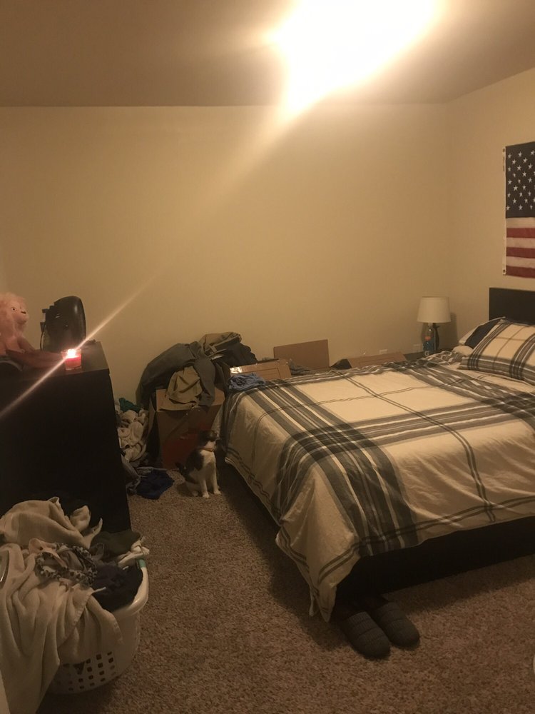 ALTITUDE APARTMENTS - 57 Photos & 46 Reviews - 1620 Benson Rd S, Renton ...