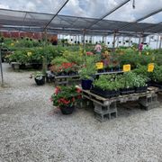 STREAM CLIFF FARM - Updated November 2025 - 136 Photos & 46 Reviews ...