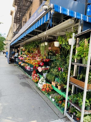 MADISON DELI - Updated October 2025 - 24 Photos - 6661 Fresh Pond Rd ...