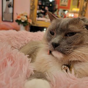 PRETTY PARLOR - 64 Photos & 102 Reviews - Women's Clothing - 119 Summit ...