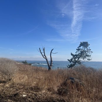 SACHUEST POINT NATIONAL WILDLIFE REFUGE - Updated December 2025 - 242 ...