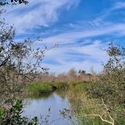 SHIPLEY NATURE CENTER - 293 Photos & 44 Reviews - 17851 Goldenwest St ...
