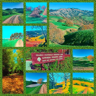 DIABLO FOOTHILLS REGIONAL PARK - Updated January 2026 - 244 Photos & 45 ...