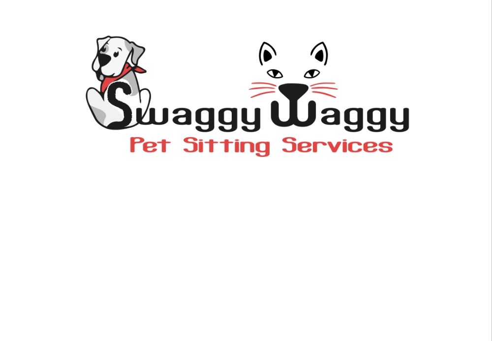 SWAGGY WAGGY PET SITTING SERVICES - Hollywood, Florida - Pet Boarding ...