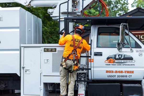 K&J TREE SERVICE - Updated August 2025 - 61 Photos & 34 Reviews - 2 ...