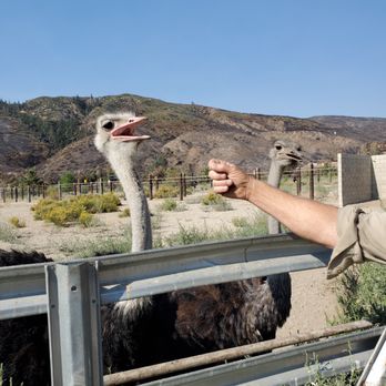 QUAIL RUN RANCH - Updated March 2025 - 125 Photos & 46 Reviews - 44380 ...