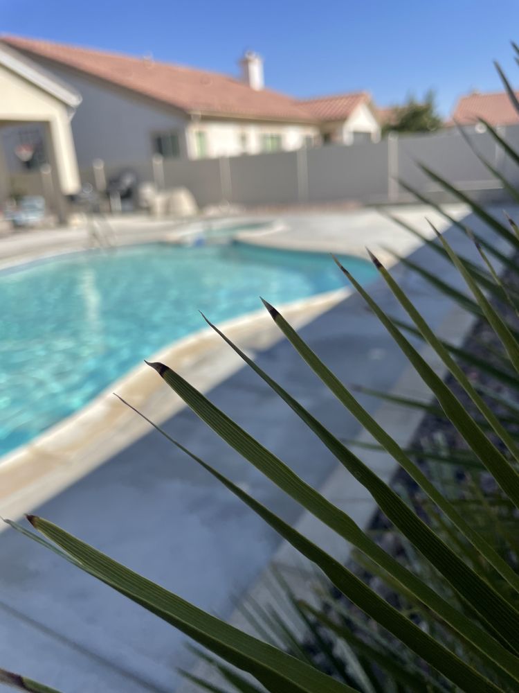 JORGE’S POOL SERVICE - Updated April 2026 - Request a Quote - Apple ...