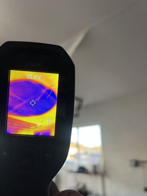 ROYAL WATER DAMAGE - Updated June 2026 - 20 Photos - 3951 SW 41st St ...