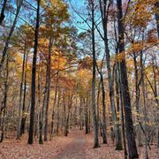 LAKE JOHNSON PARK | 273 Photos & 141 Reviews - 4601 Avent Ferry Rd ...